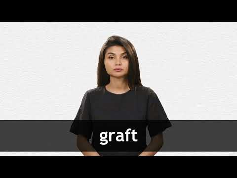 GRAFT definition and meaning | Collins English Dictionary