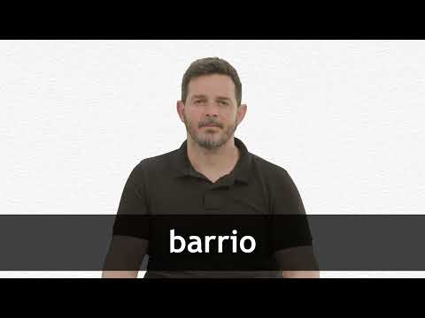 English Translation of “BARRIO” | Collins Spanish-English Dictionary