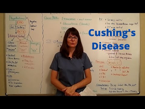 Cushing's Disease (Hypercortisolism)