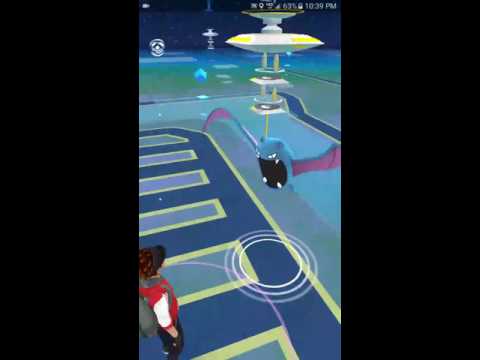 Pokemon Go Caught a Golbat