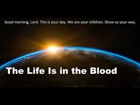 The Life Is In The Blood – Easy Peasy All-in-One Homeschool