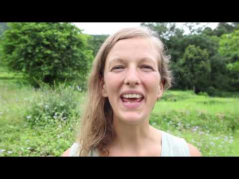 What is EFT/Tapping? (with Jennifer Harmony)