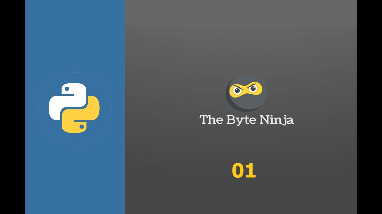 • Python Tutor 01 | print( )  build in function