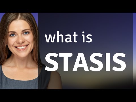 Stasis • what is STASIS definition