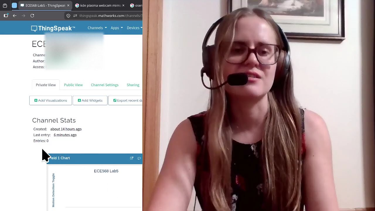 ECE568 Lab 5 demo for arnol245