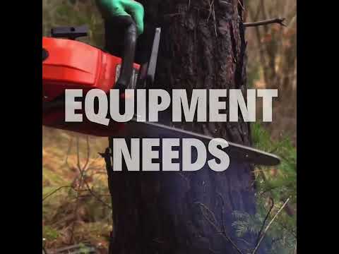 How Much is Tree Removal?