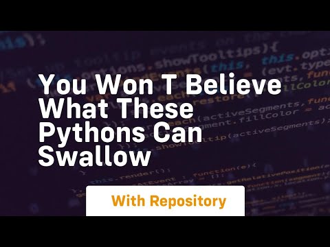 You won t believe what these pythons can swallow