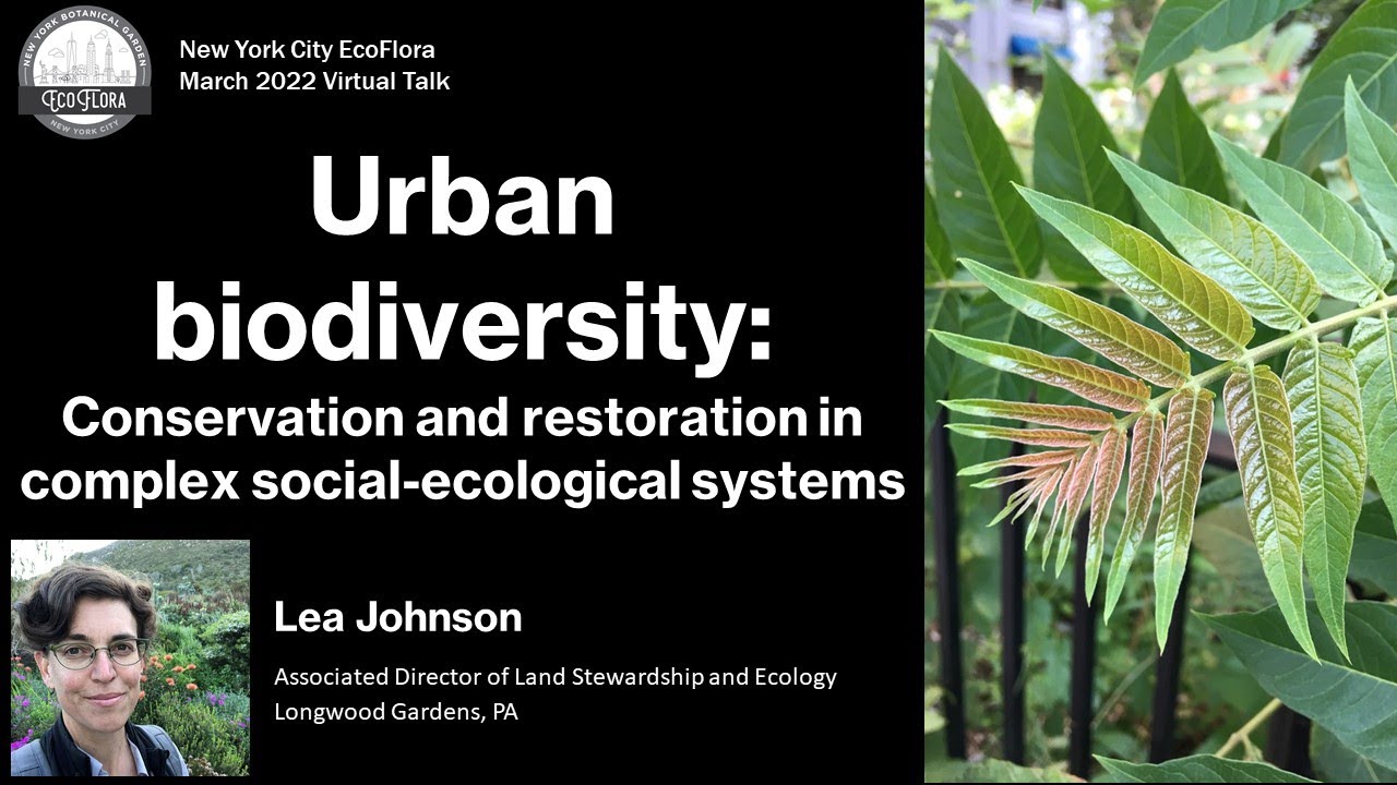 Urban Biodiversity: Conservation and restoration in complex systems - Lea Johnson - NYC EcoFlora