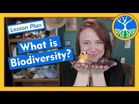 What is Biodiversity? - Lesson Plan