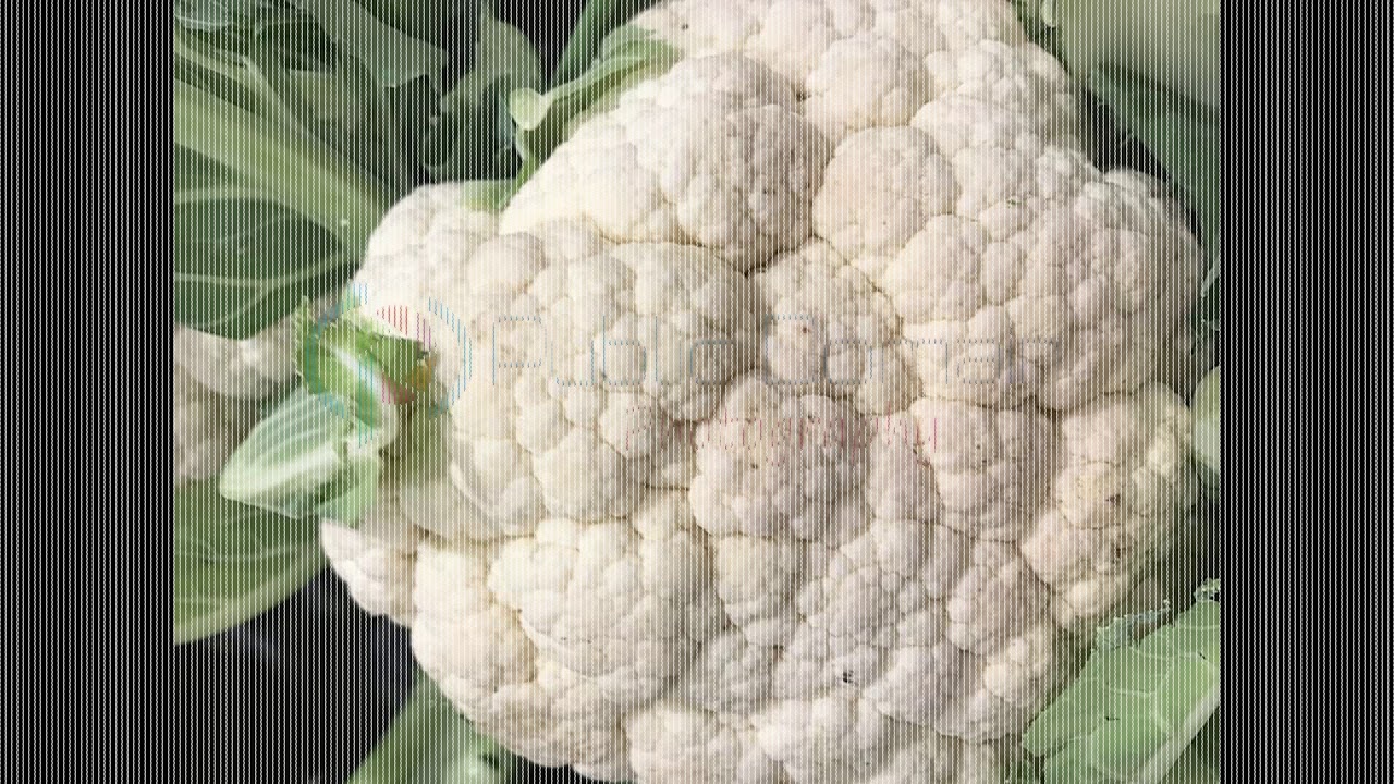Fresh Cauliflower Free Stock Images