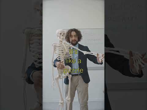 Amazing Human Body Facts - Facts You Won't Believe!