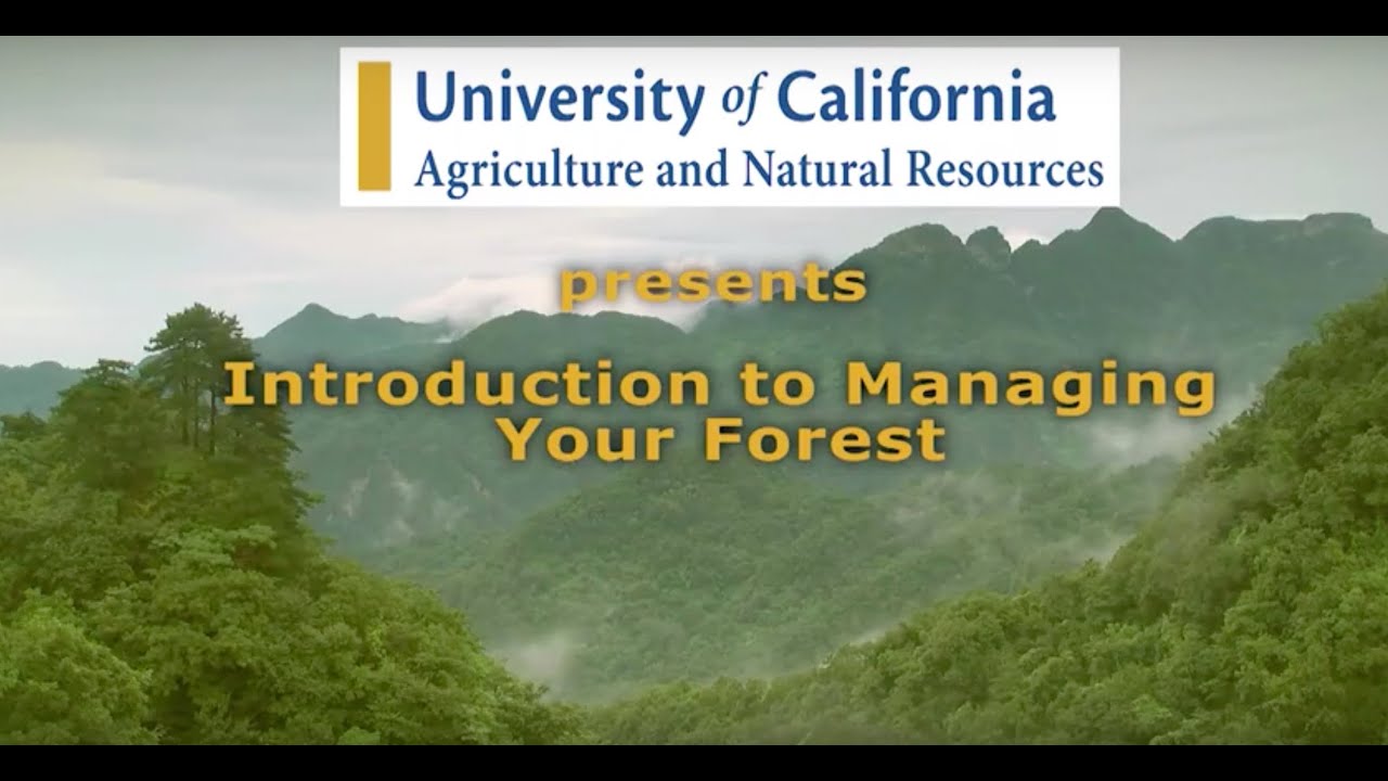 Starting Your Forest Mgmt Plan: Introduction to Forest Management