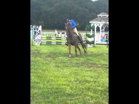 South Forty (Henry) with Carol Hertel
