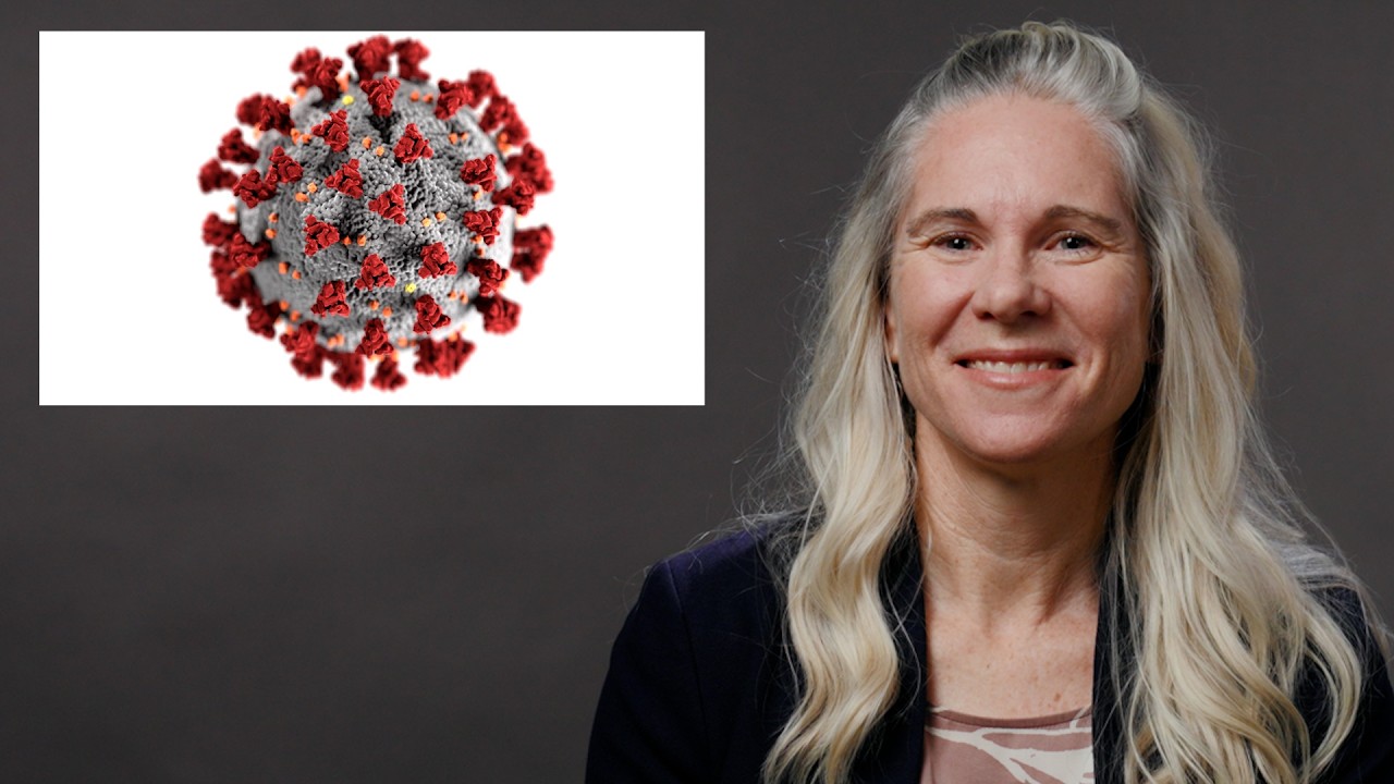 Virology explained in 101 seconds | 101 in 101