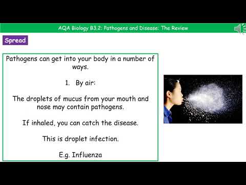 AQA Biology B3.2 - Pathogens and Disease