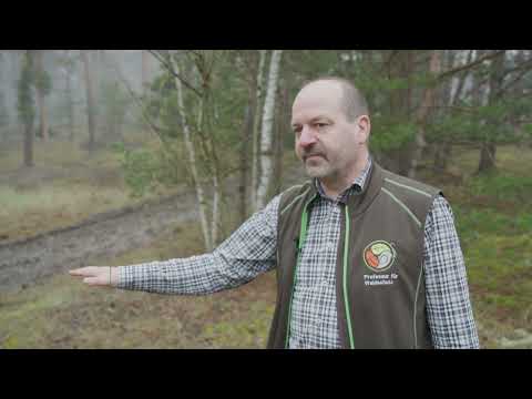 Professionelle Waldbrandprävention | Brennpunkt Wald erklärt´s
