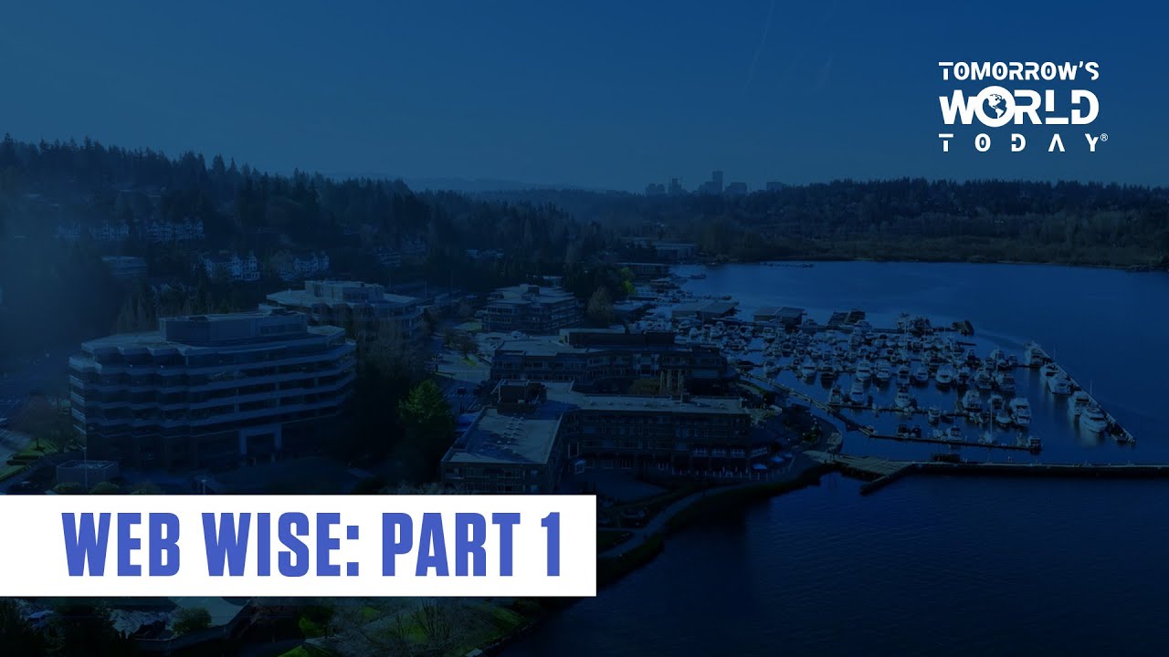 Web Wise: Part 1 - Small Businesses and AI | Tomorrow's World Today