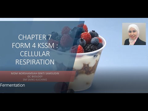 Chapter 7 Form 4 KSSM : 7.3 Fermentation
