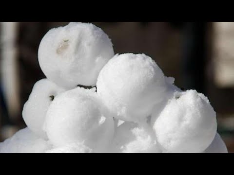snowball ASL