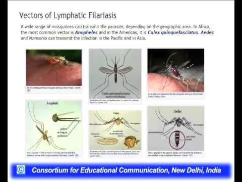 Vector Borne Diseases : Leishmaniasis & Lymphatic Filariasis