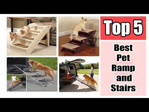 5 Best Pet Ramp and Stairs Reviews