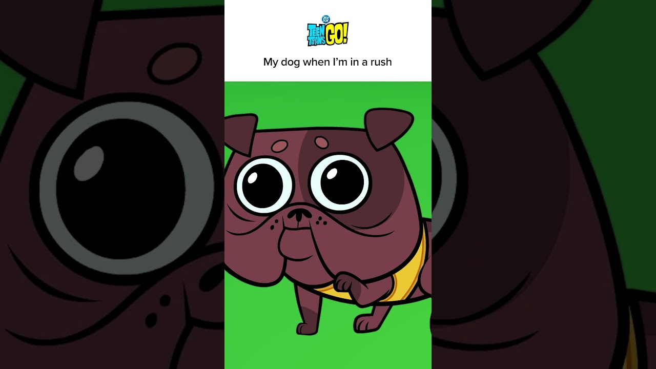 Yep, every time… 🐶#TeenTitansGo #Raven #Robin #Cyborg #Starfire #BeastBoy #cartoonnetwor#shorts