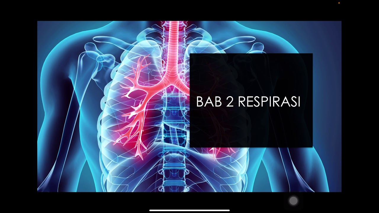 Bab 2 Respirasi