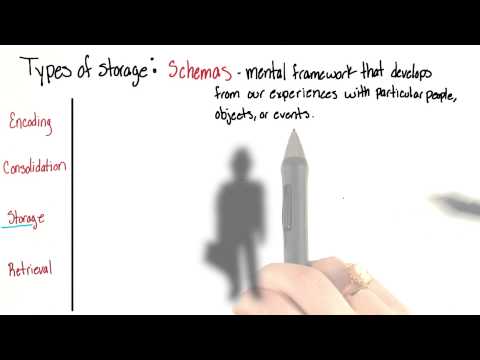 Schemas - Intro to Psychology