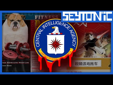 Undercover CIA Websites Got Informants Killed