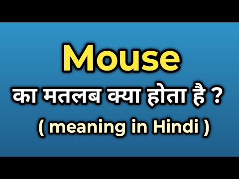 Mouse Meaning in Hindi || Mouse Ka Kya Matlab Hota Hai | Words Tube