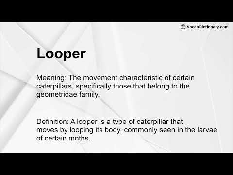 Looper Meaning