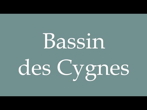 How to Pronounce ''Bassin des Cygnes'' Correctly in French