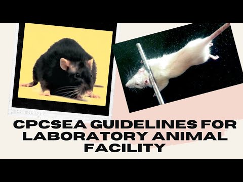 CPCSEA GUIDELINES FOR LABORATORY ANIMAL FACILITY | MRM301T Research Methodology & Biostatistics