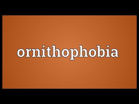 Ornithophobia Meaning
