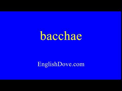 How to pronounce bacchae in American English.