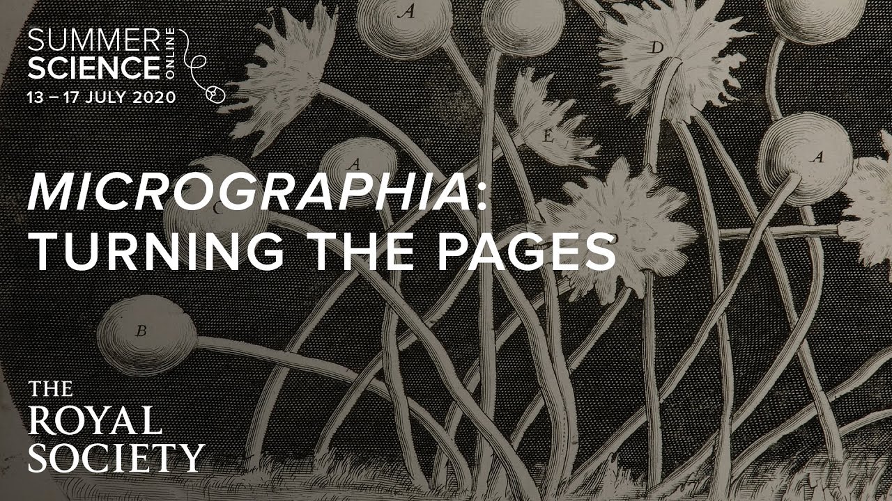 Micrographia: turning the pages of Robert Hooke's masterpiece | The Royal Society