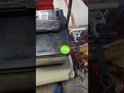 Walmart sells batteries from the future.