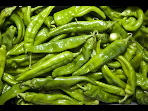 Hatch Green Chile Promo