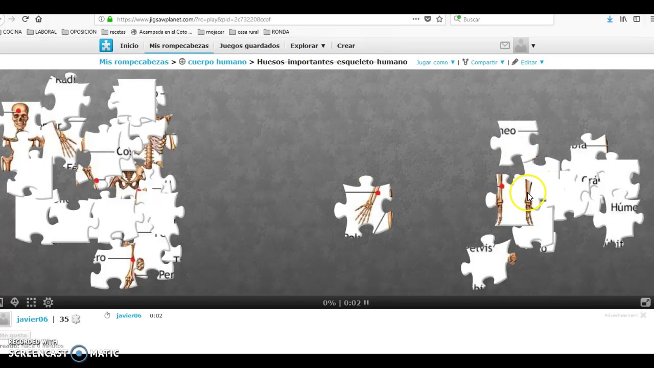 Puzzle huesos cuerpo humano