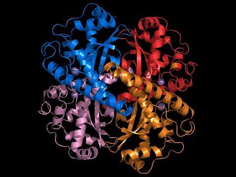 10 interesting facts about superoxide dismutase SOD