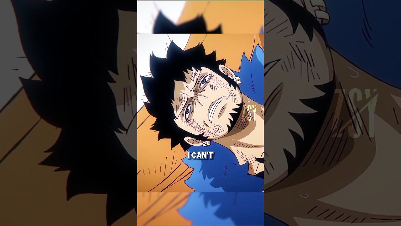 The defeat of the Heart pirates 💔