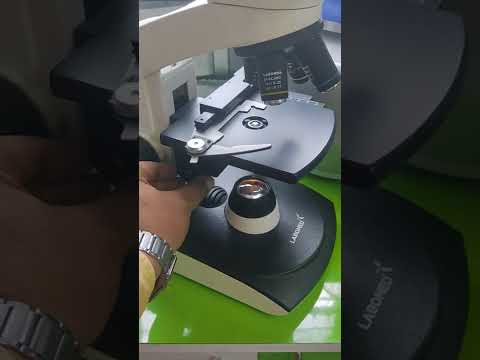 Labomed Microscope - Latest Price, Dealers & Retailers in India