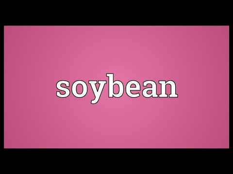 Soybean Meaning