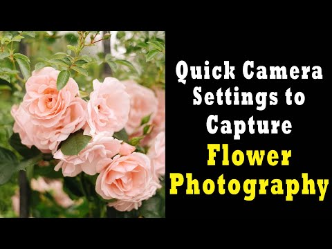 Quick Camera Settings to Capture Flowers - Flower Photography | How to Shoot Flowers Photography? |