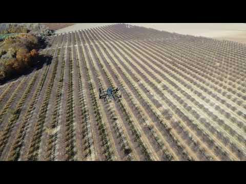 AgroPhenolab_IAS. Adquisión de datos con drone sobre parcela comercial de almendro