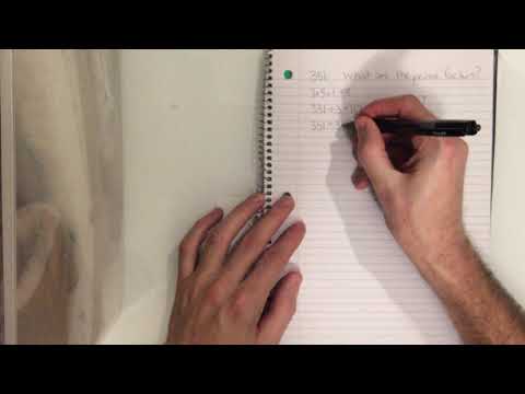 Prime Factorization of 351