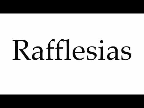 How to Pronounce Rafflesias