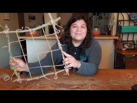 Create With Us: Quadrats for Kids!