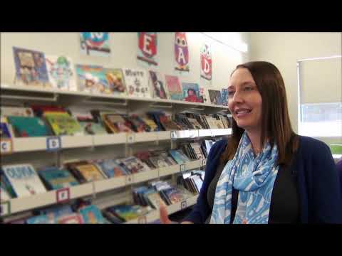 The Importance of Experts in Schools