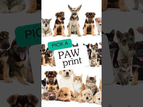Pick a Paw Print πΎ and Iβll Reveal Your Future Pet! | Fun Personality Quiz